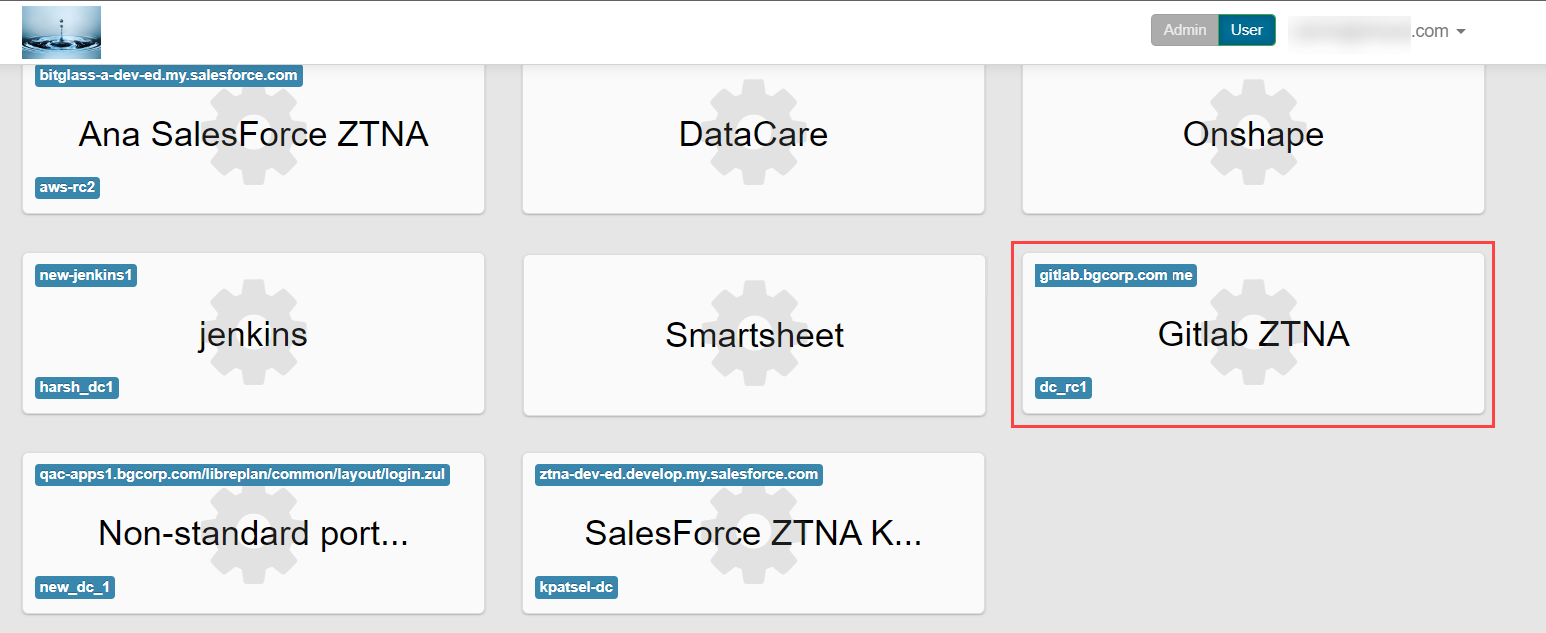 Accessing agentless ZTNA applications